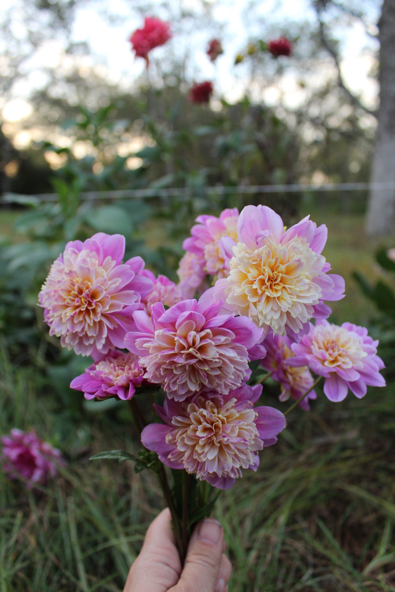 Take Off – Kaolin Flowers and Farm